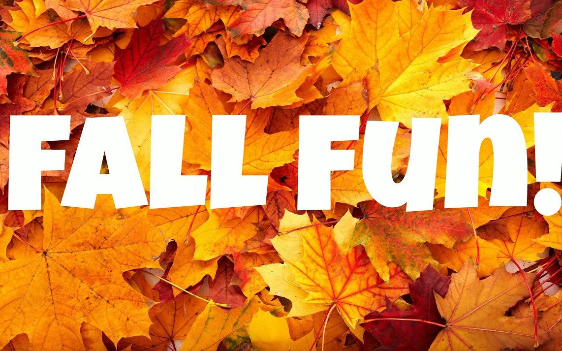 FALL FUN! | Swell Vision