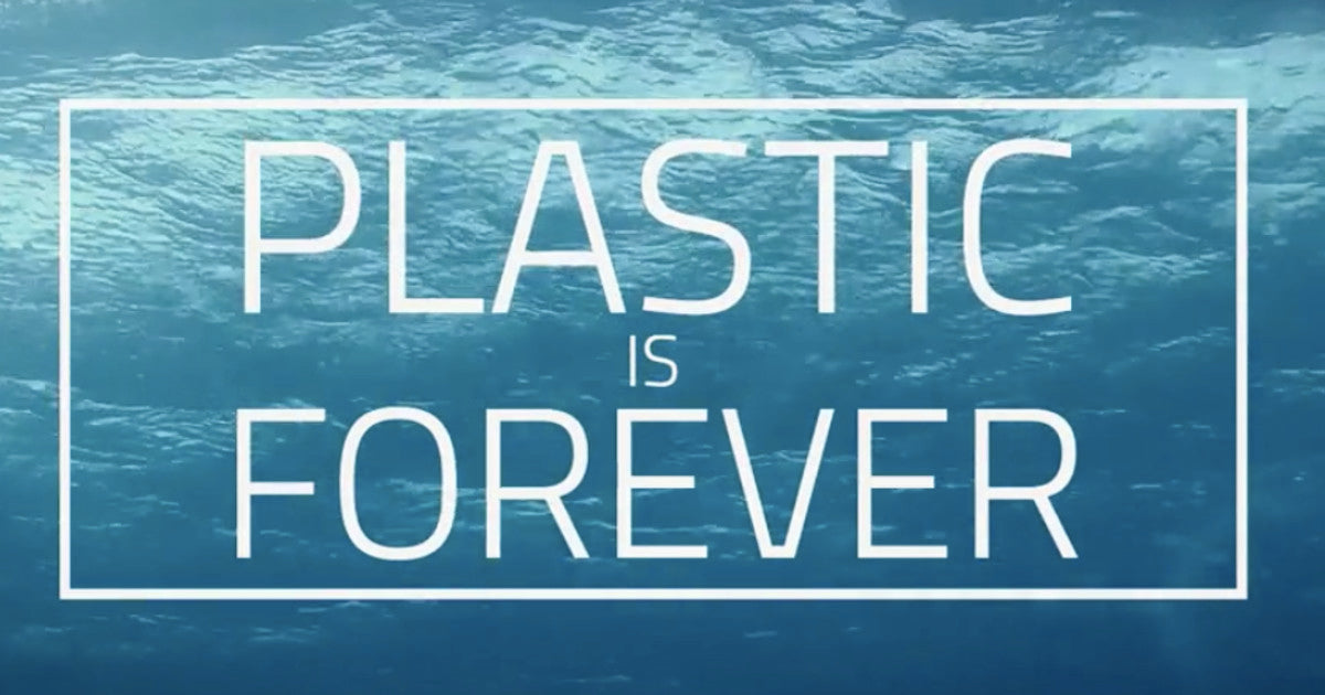 Forever Plastics: The Perpetual Predicament of Plastic Pollution ...